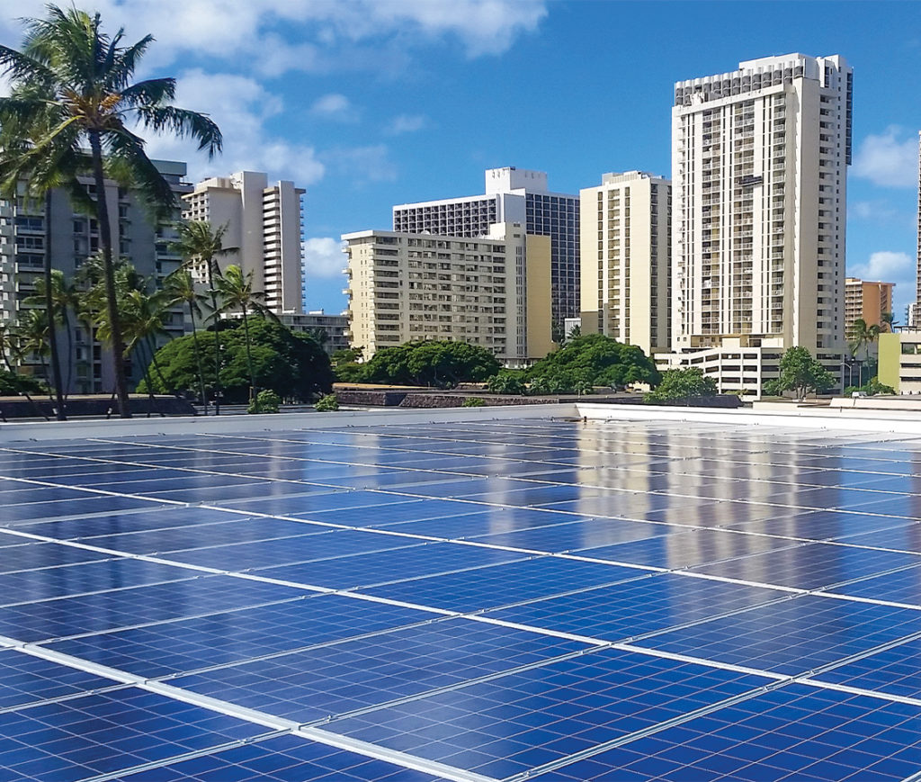 Princeton Windrows Intake Form - Novitium Energy